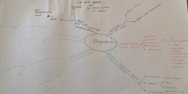 Informatie verwerken in een mindmap en nooit meer vergeten
